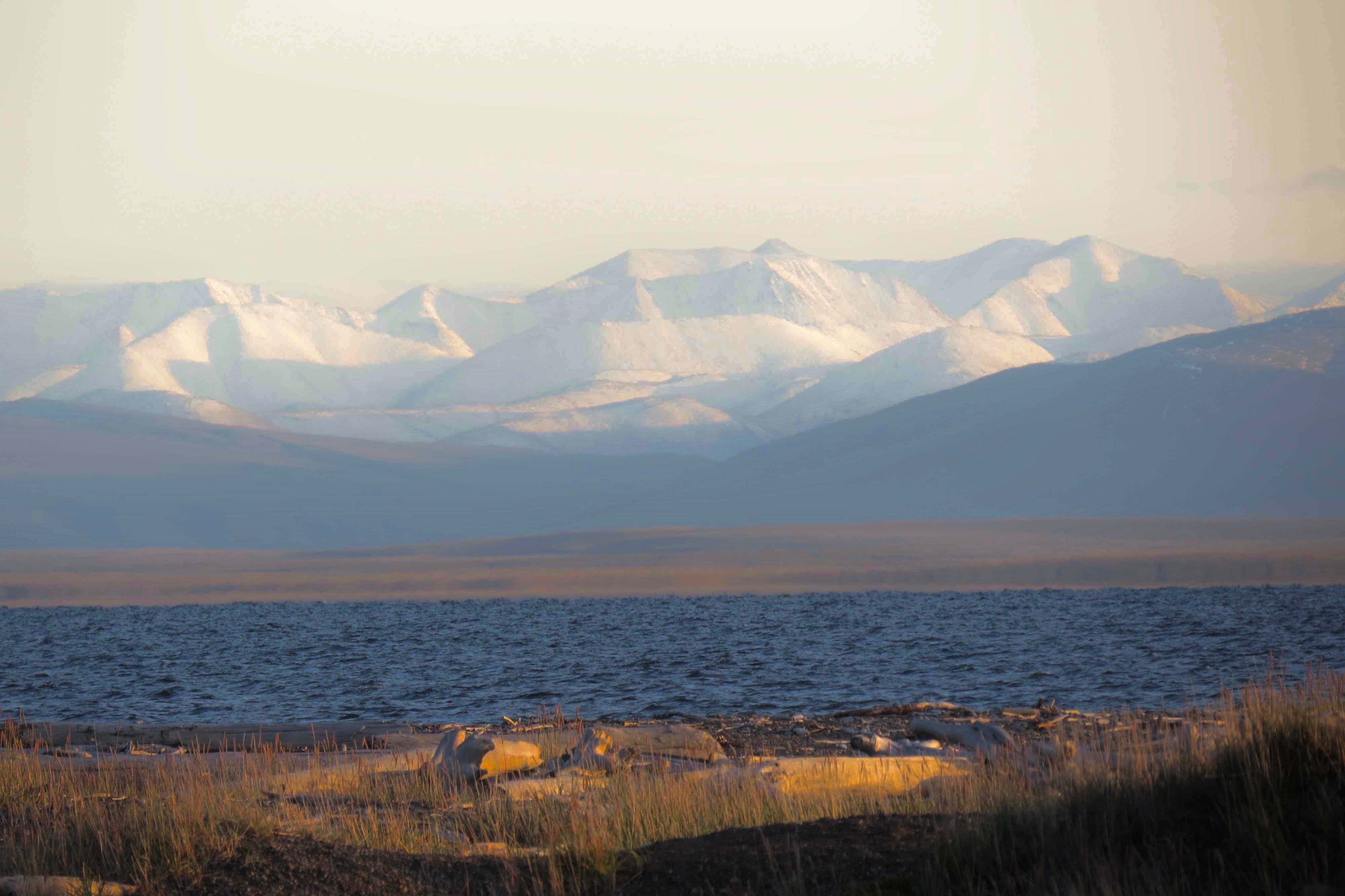 Arctic Soundscapes – Team Shrub