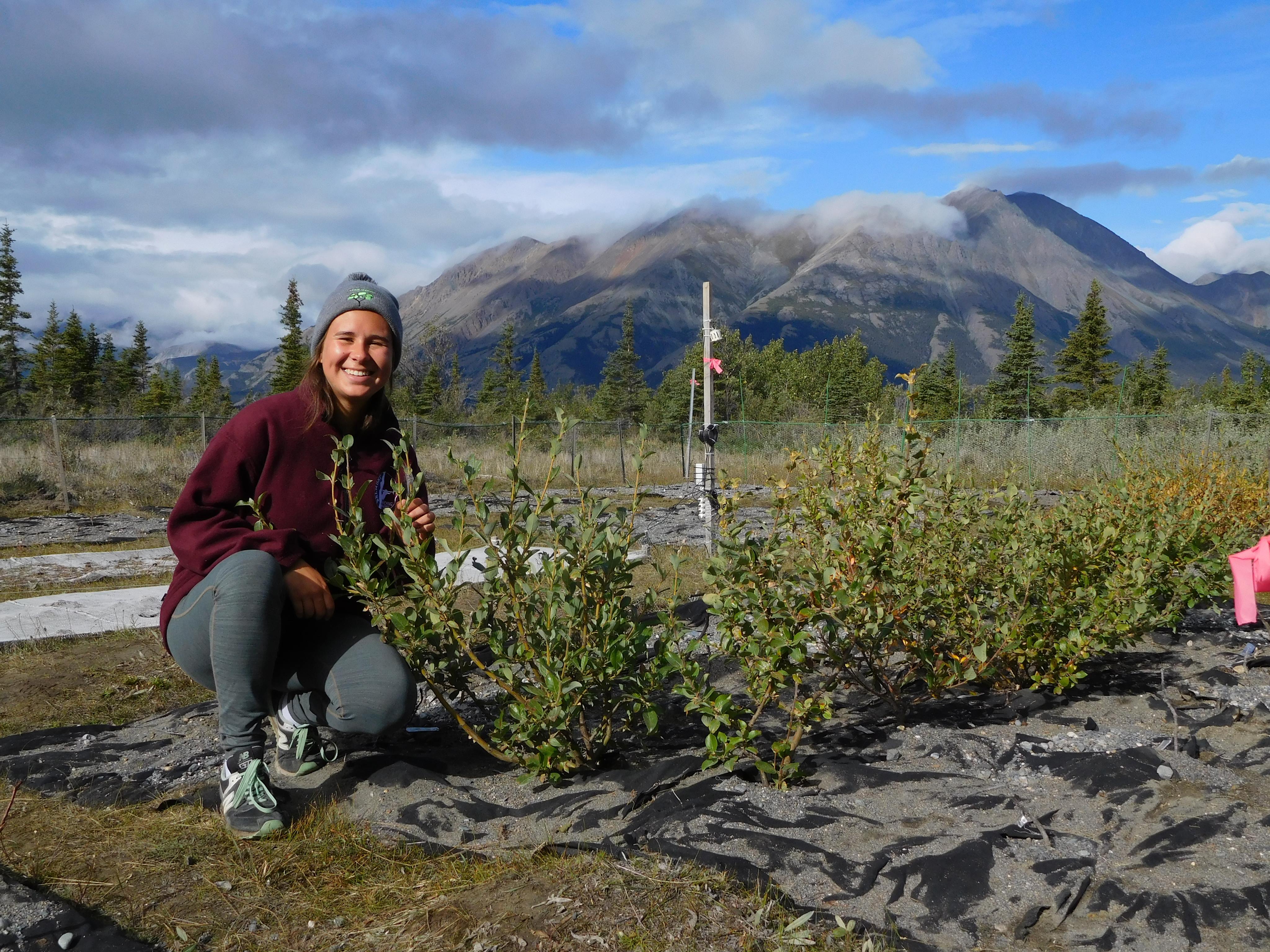5 Steps to Becoming an Awesome Field Assistant – Team Shrub