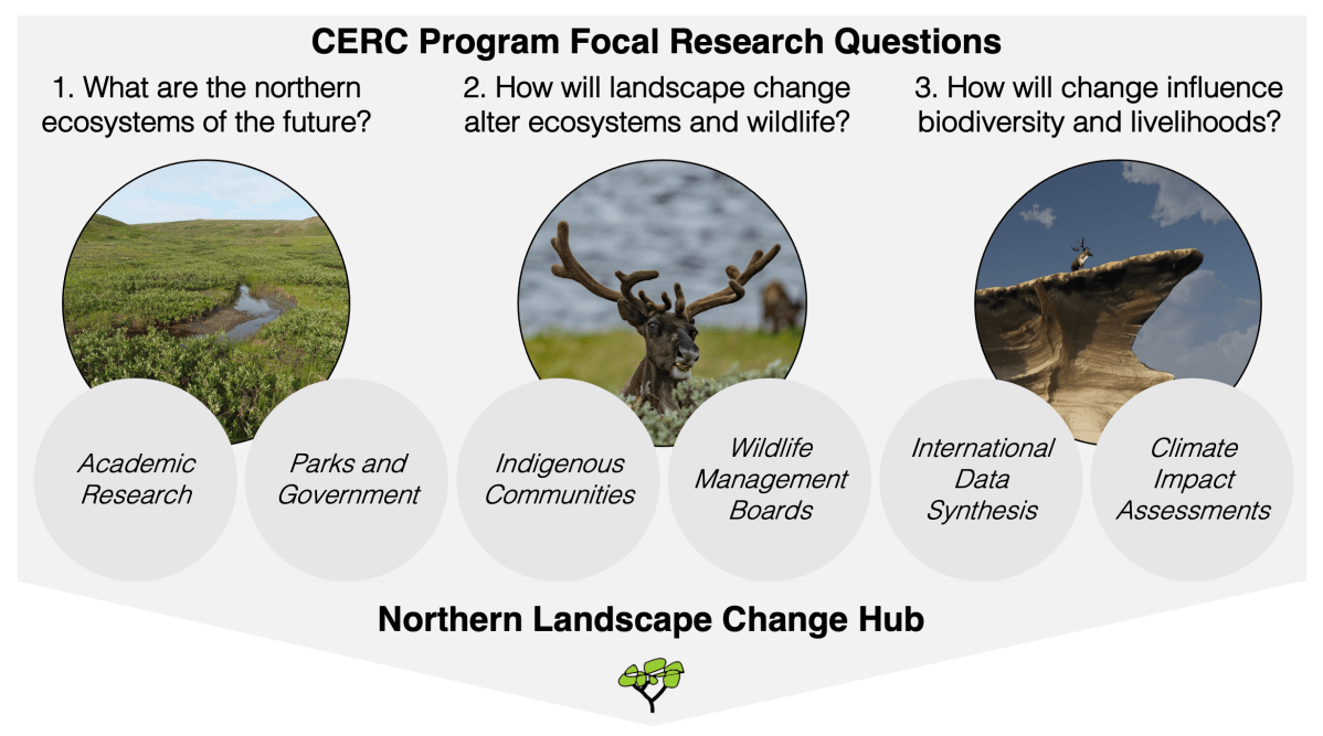 CERC Project – Team Shrub